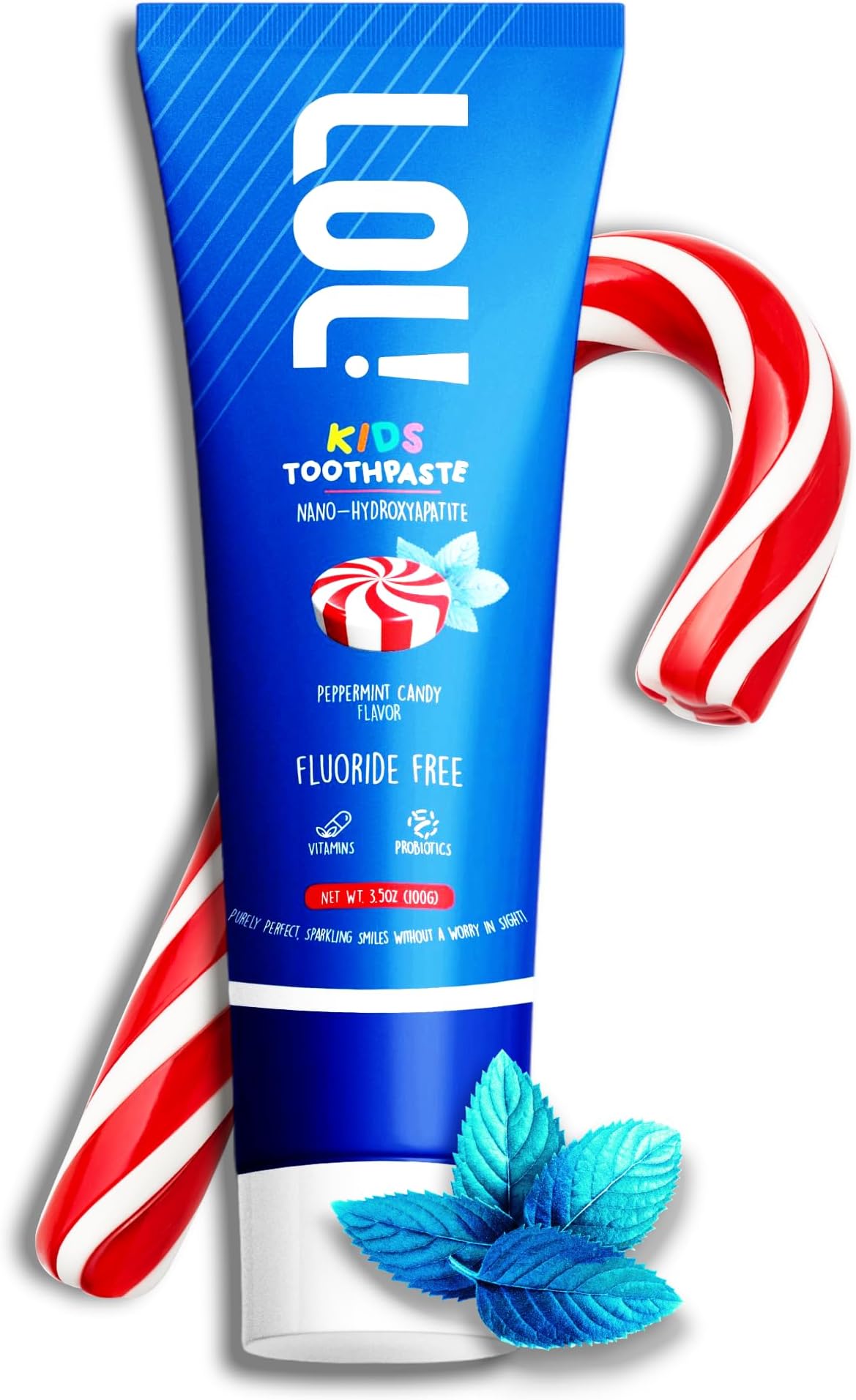 Amazon.com: Aquafresh Fluoride Toothpaste Big Kids 6+ Years Fresh Mint ...