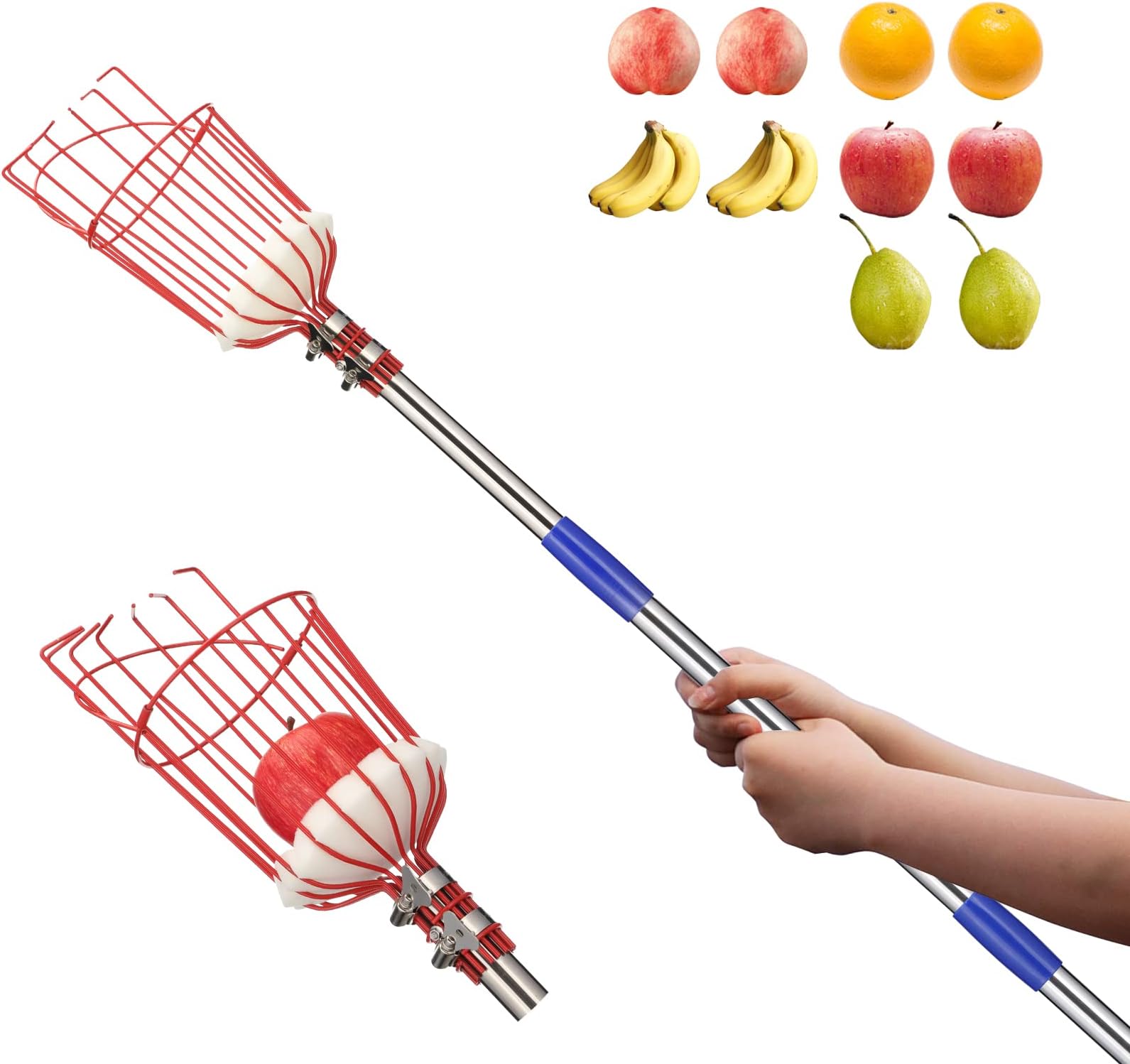 Amazon.com : EXTEND-A-REACH Fruit Picker Basket Only // Twist-On Apple ...