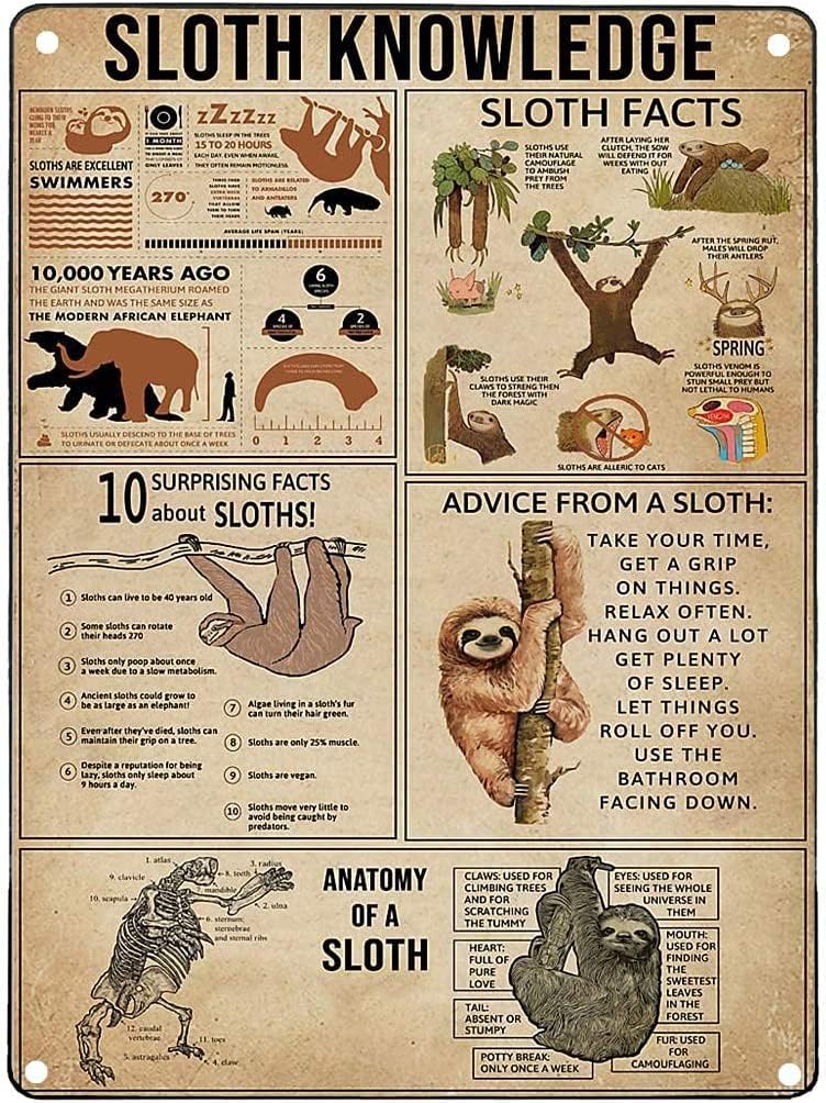 Amazon.com: Sloth Infographic Wall Hanging Tin Sign Sloth Knowledge ...