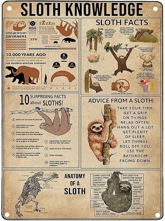 Amazon.com: Sloth Infographic Wall Hanging Tin Sign Sloth Knowledge ...