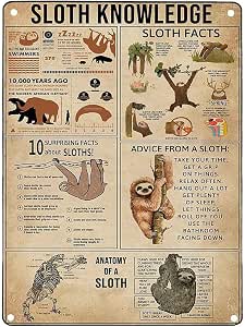 Sloth Knowledge Metal Signs Anatomy Of A Sloth Posters Home Farmhouse ...
