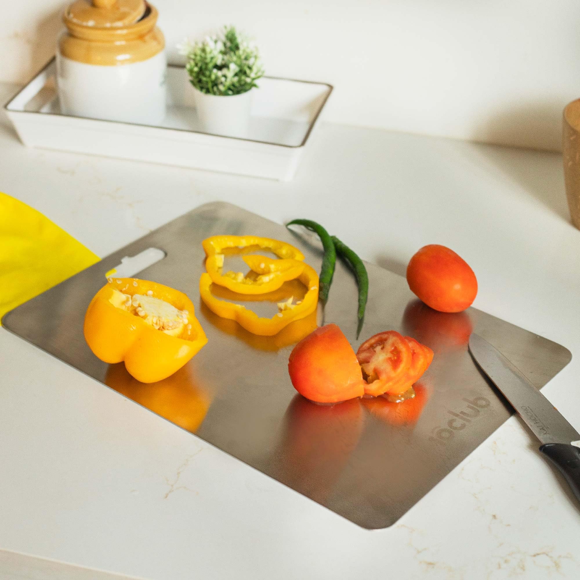 Buy The Earth Store Stainless Steel Chopping Board for Kitchen | Cutter ...