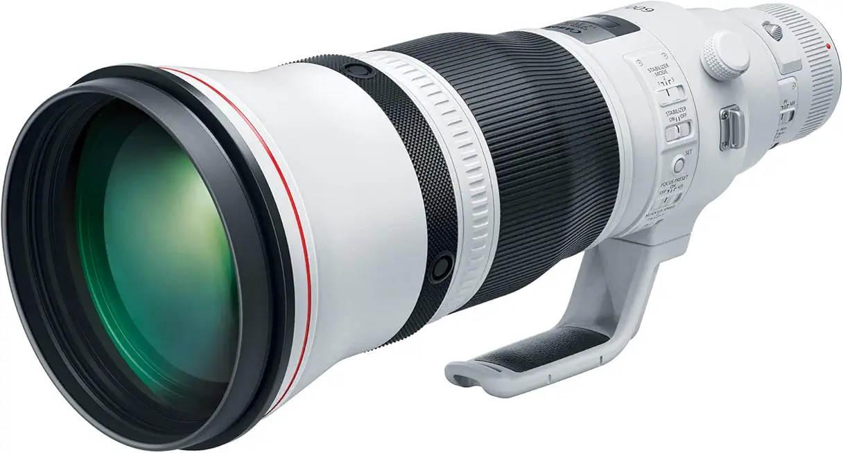 Canon RF 600mm f/4 L Review – Is It Still Worth It in 2026? - Buying ...