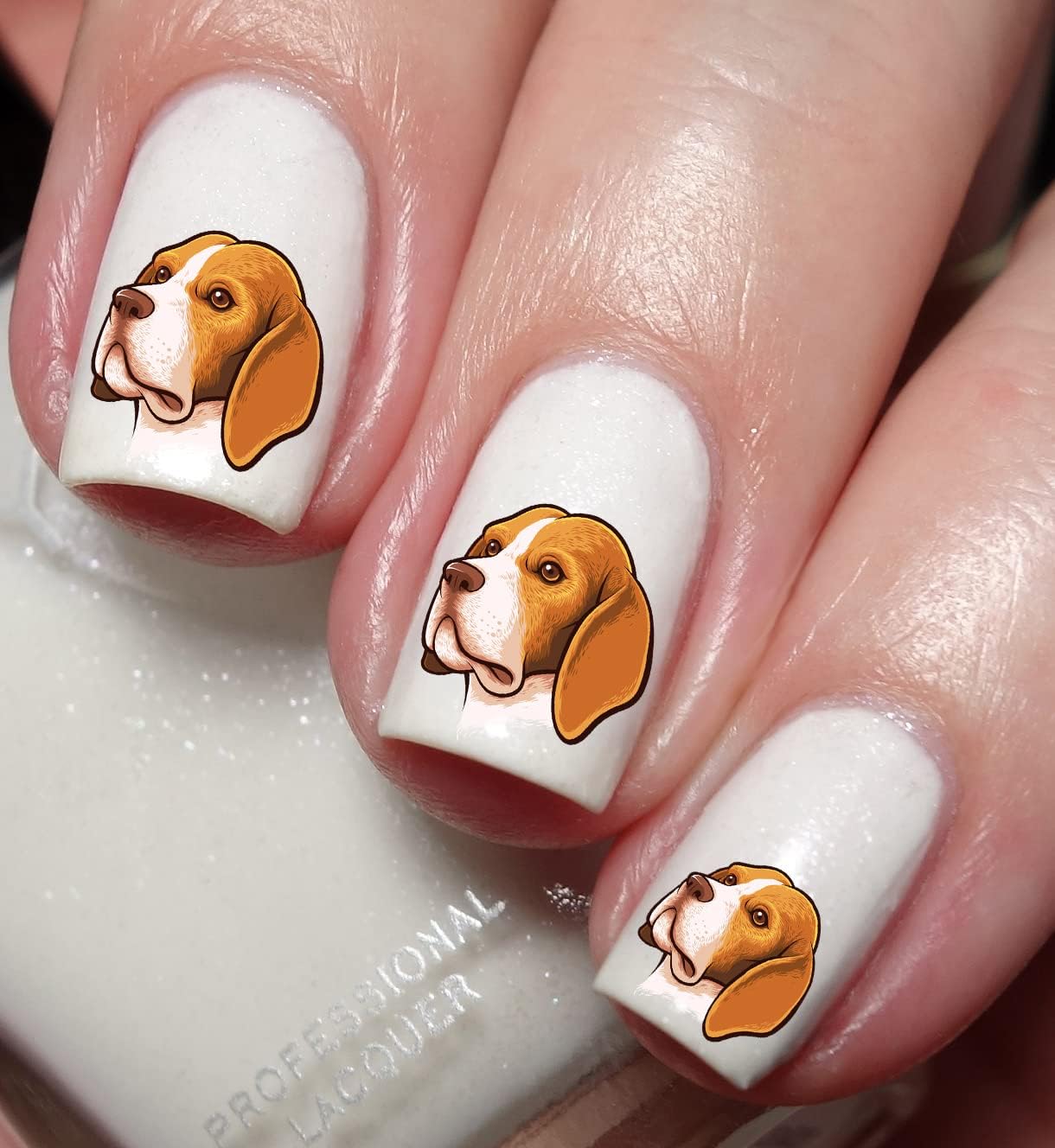 Amazon.com: Beagle Dog Puppy Pet Nail Art Decal Sticker : Beauty ...