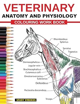 Veterinary Anatomy and Physiology Coloring Work Book: Easy and ...
