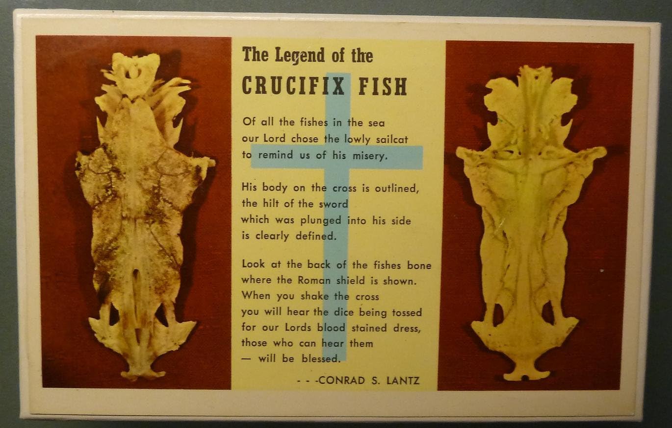 Amazon.com: The Legend of the CRUCIFIX FISH: Collectible Figurines ...