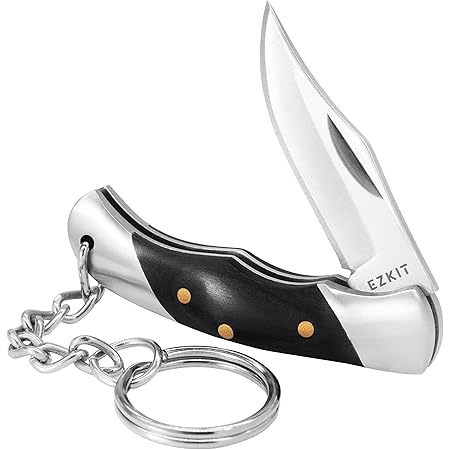 Amazon.com: DOSMAMZ 2PCS Small Pocket Knives, Mini Keychain Knife, EDC ...