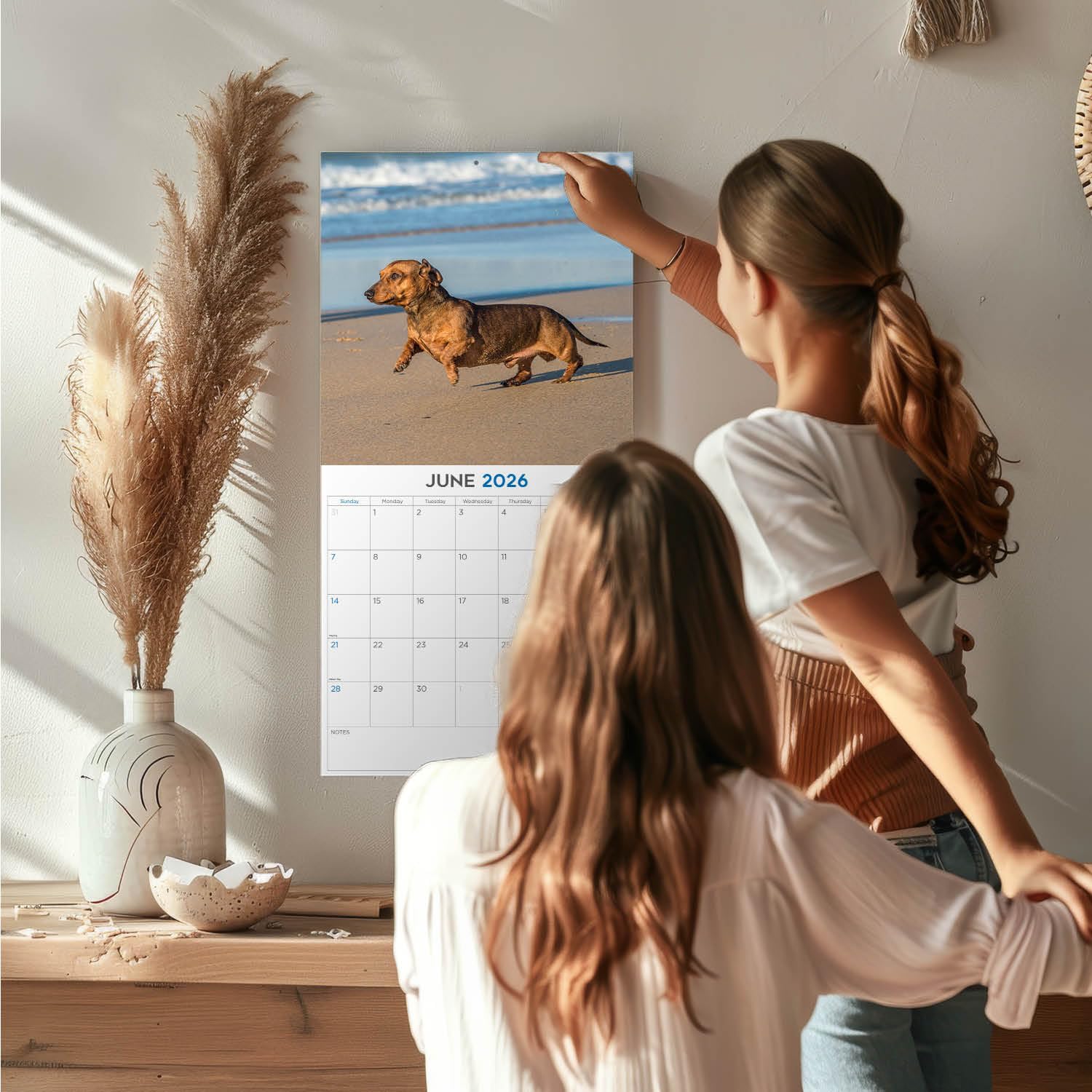 Snapklik.com : 2026 Dachshund Calendar - Dog Breed Wall Calendar - 12 X ...