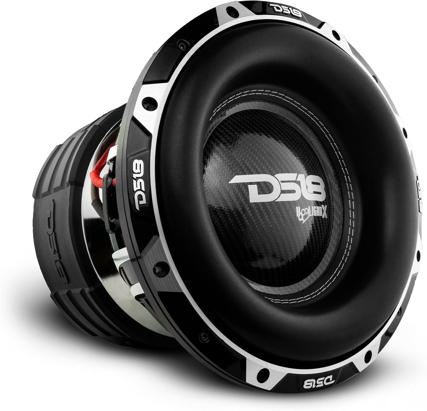 Amazon.com: DS18 HOOL-X12.2DHE Hooligan 12" High Excursion Car ...