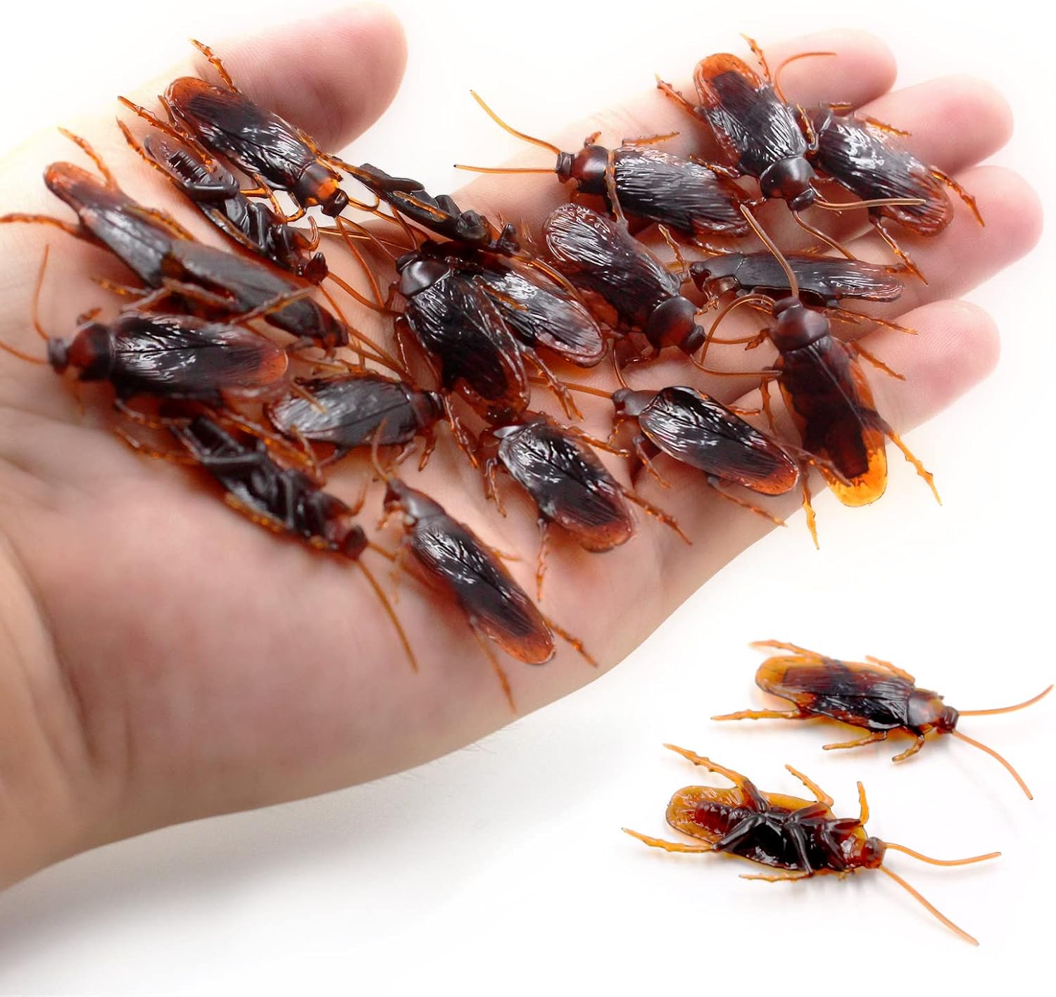 Amazon.com: BEINME Prank Fake Roaches, Prank Stuff Fake Rubber ...