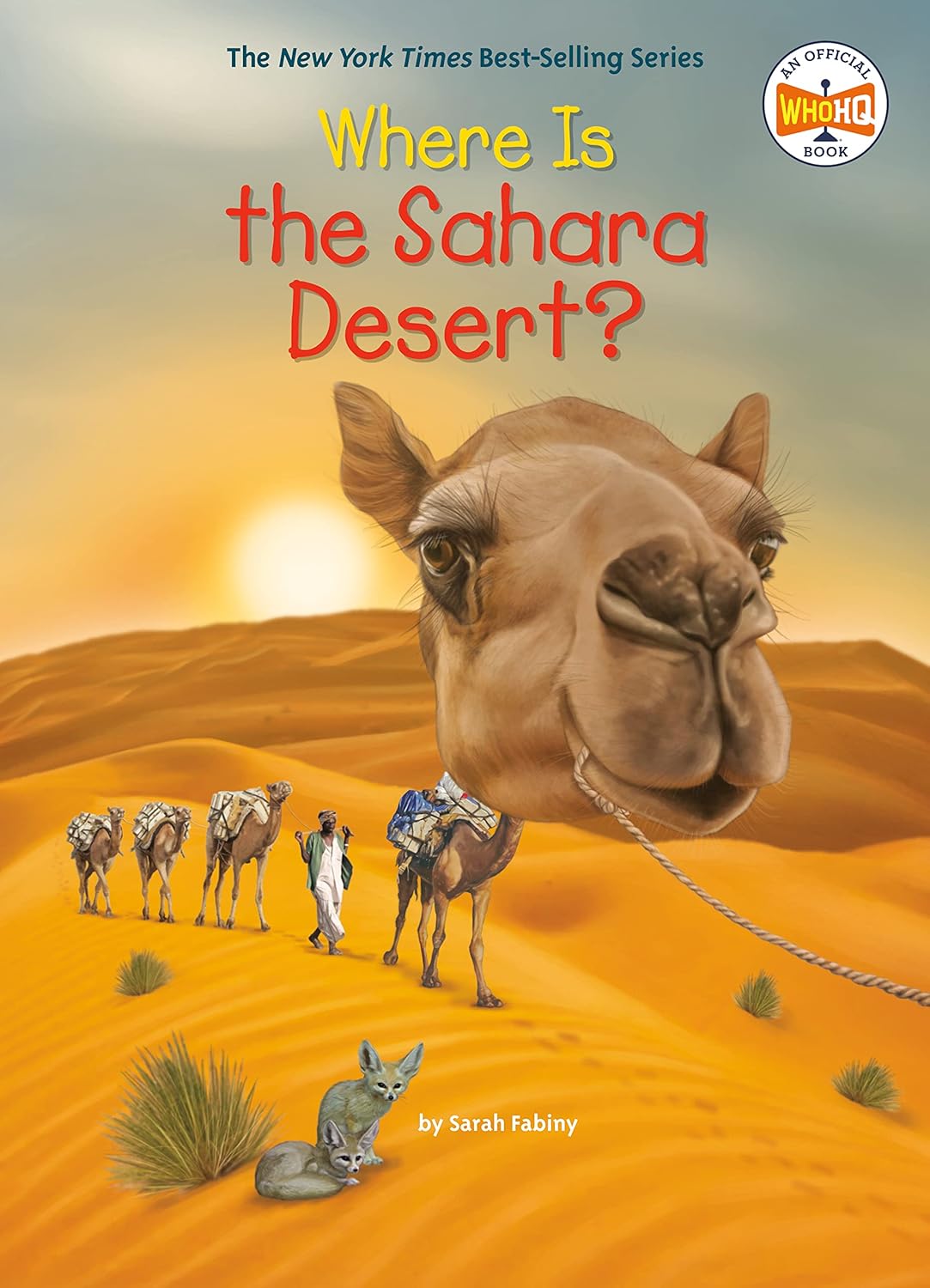 Where Is the Sahara Desert? : Fabiny, Sarah, Who HQ, Malan, David ...