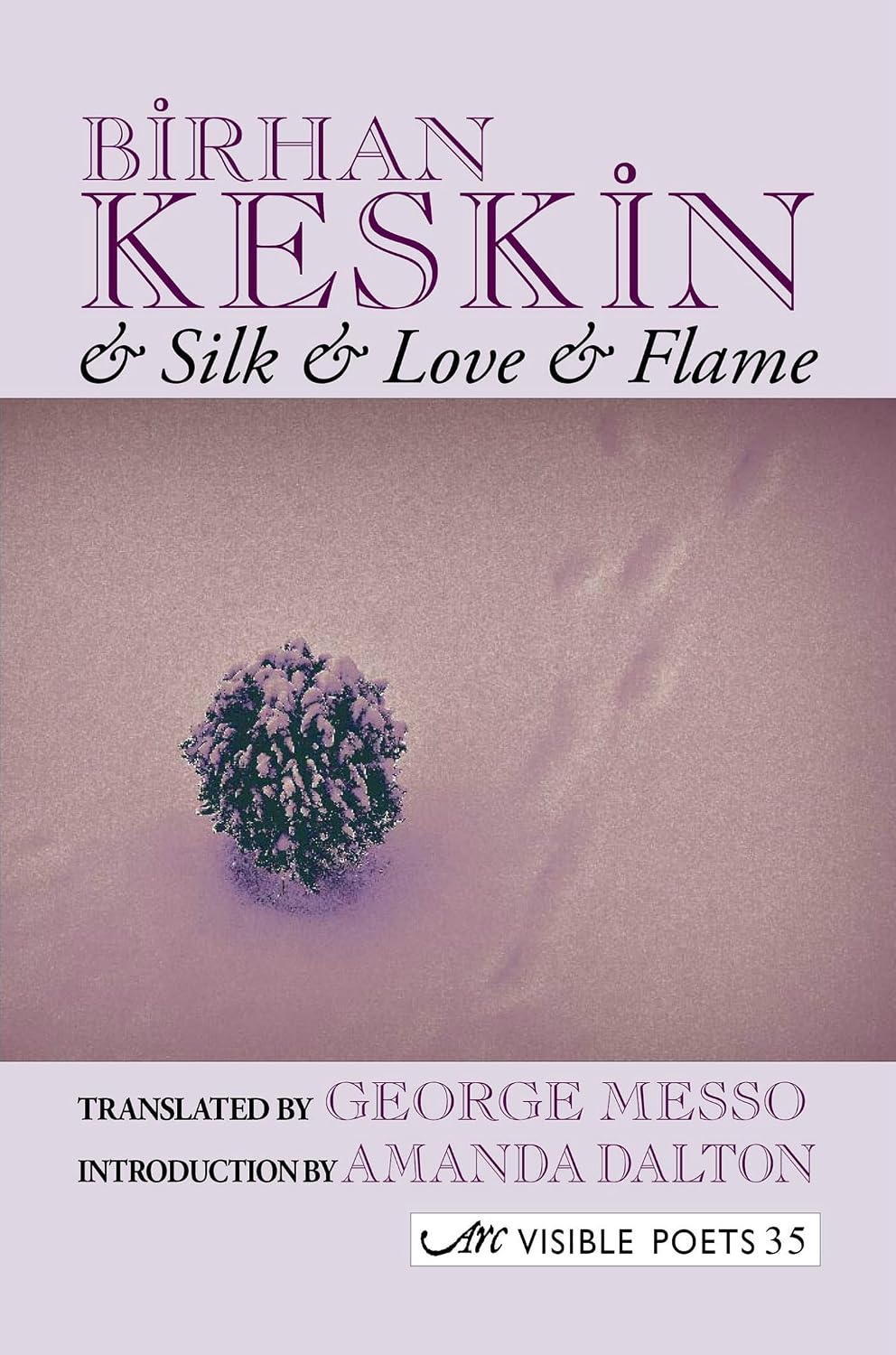 Amazon.co.jp: & Silk & Love & Flame : Keskin, Birhan, Messo, George: 洋書