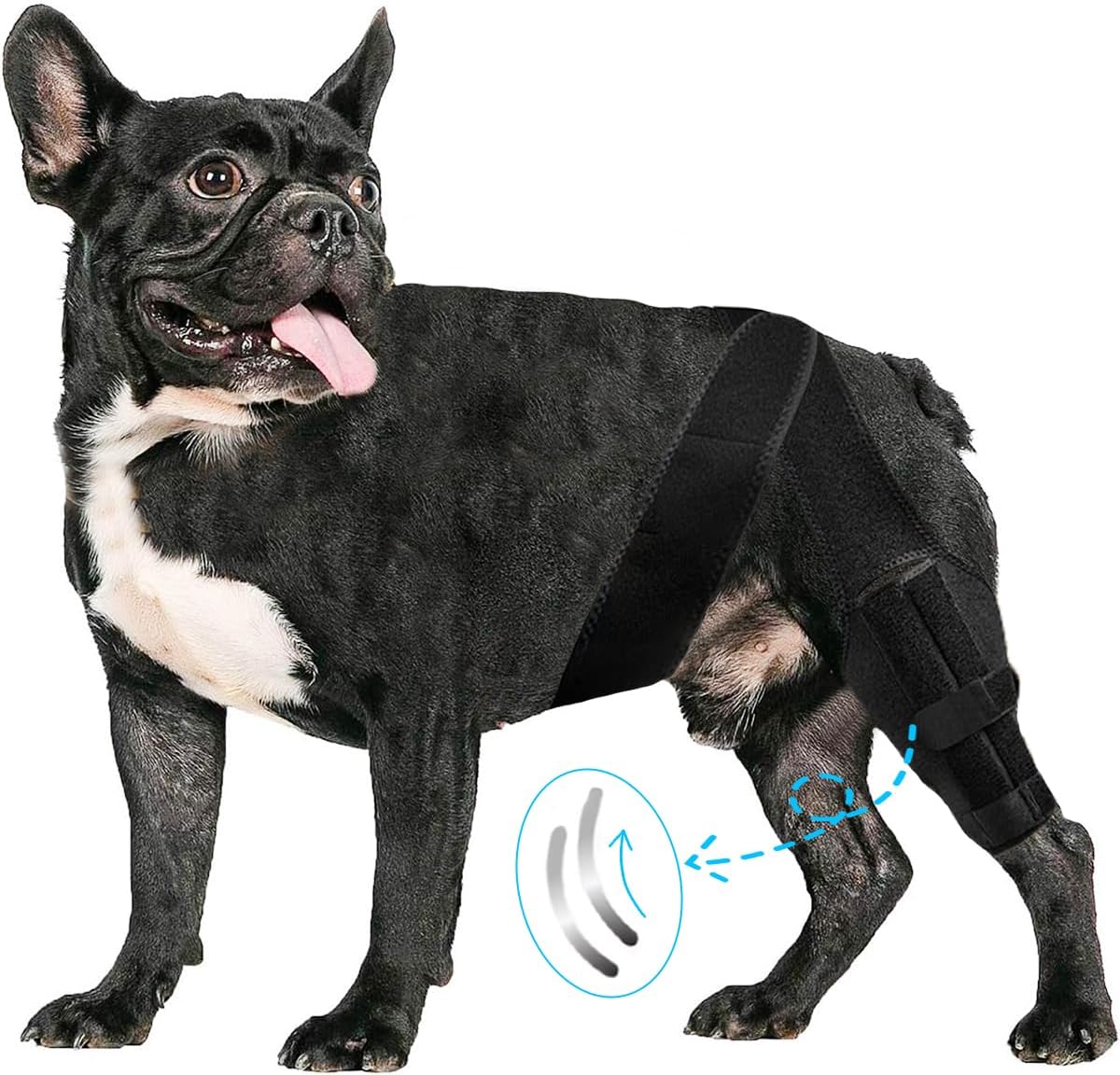 Amazon.com: Dlevakve Medium Dog Leg Braces for Back Leg for Support ...