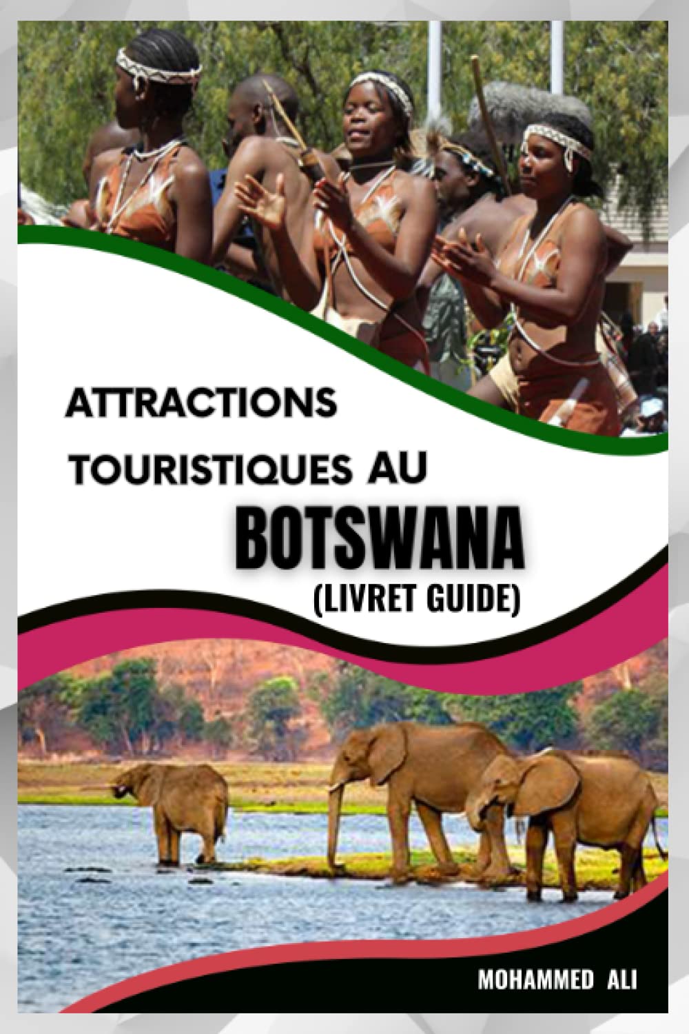 Amazon.com: ATTRACTIONS TOURISTIQUES AU BOTSWANA: LIVRET GUIDE (French ...