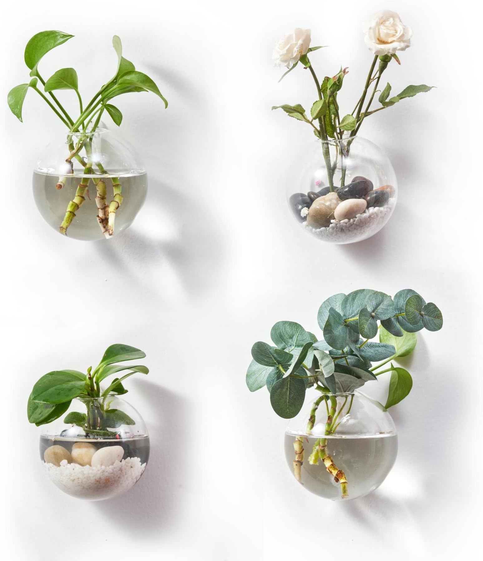 Amazon.com: BlogBlog Wall Hanging Planters Terrarium Glass Air Plant ...