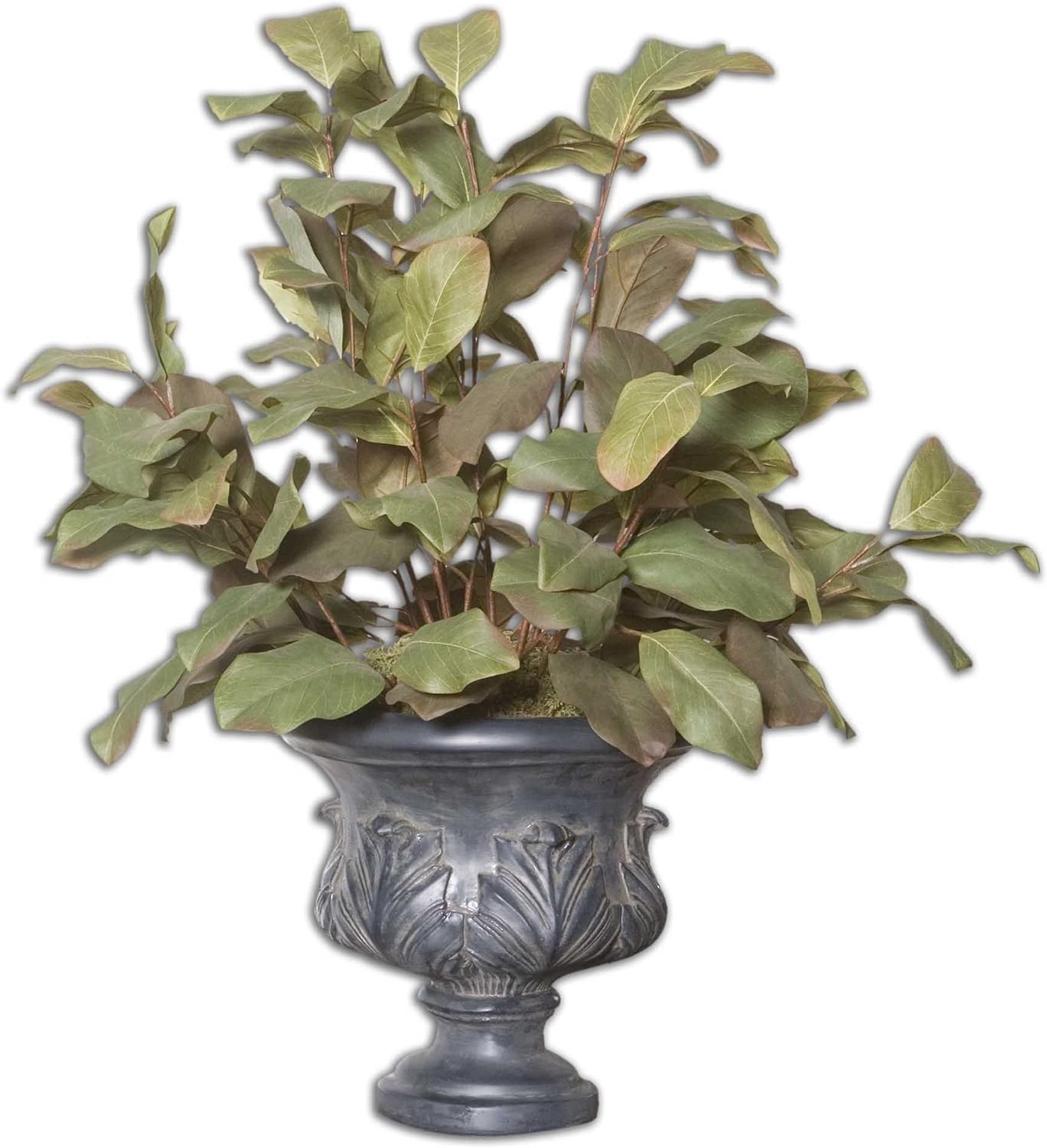 Amazon.com: Magnolia Urn : Home & Kitchen
