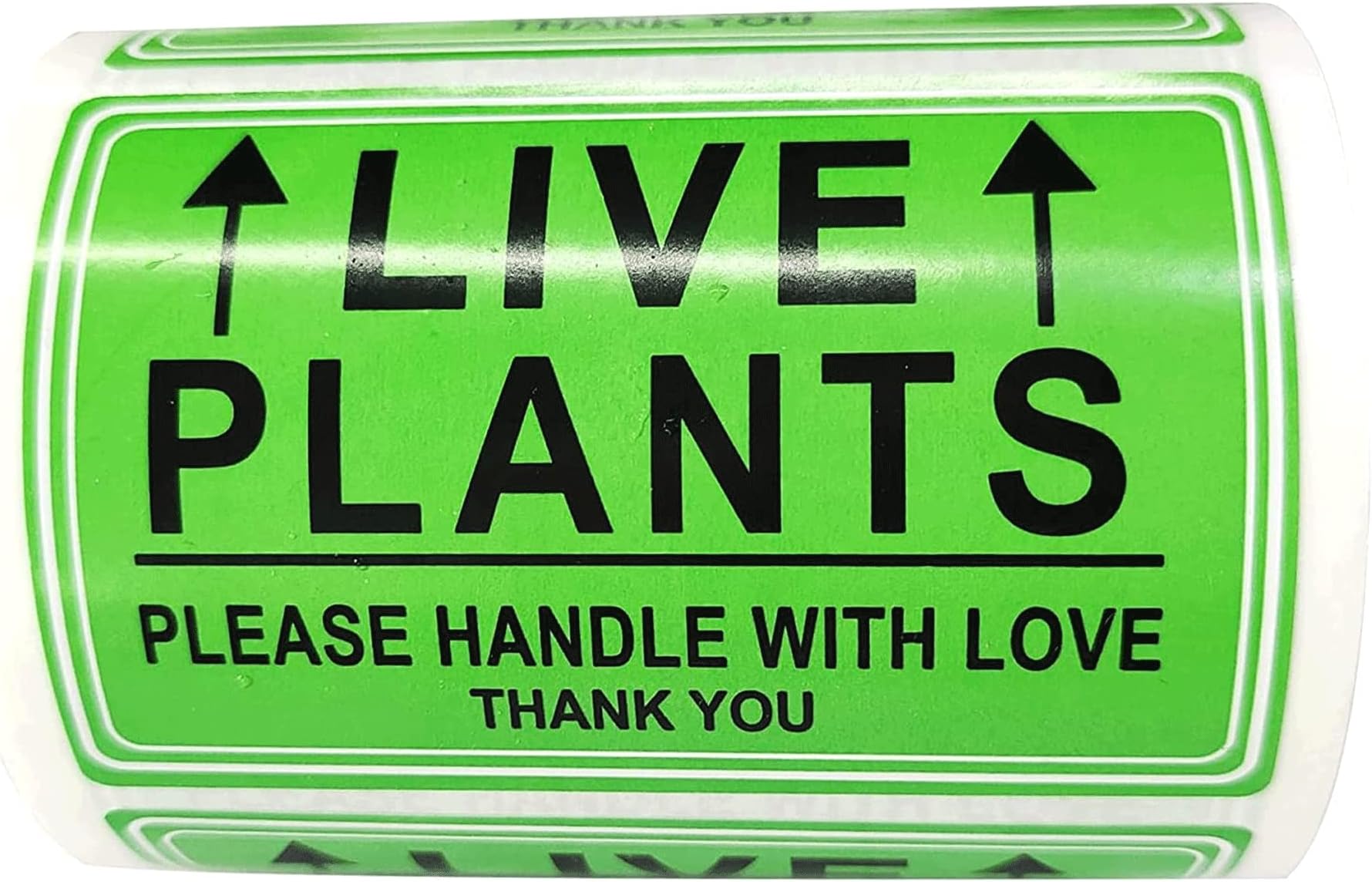 Amazon.com : Remarkable Live Fish Stickers Shipping Labels, 2 X 3 Inch ...