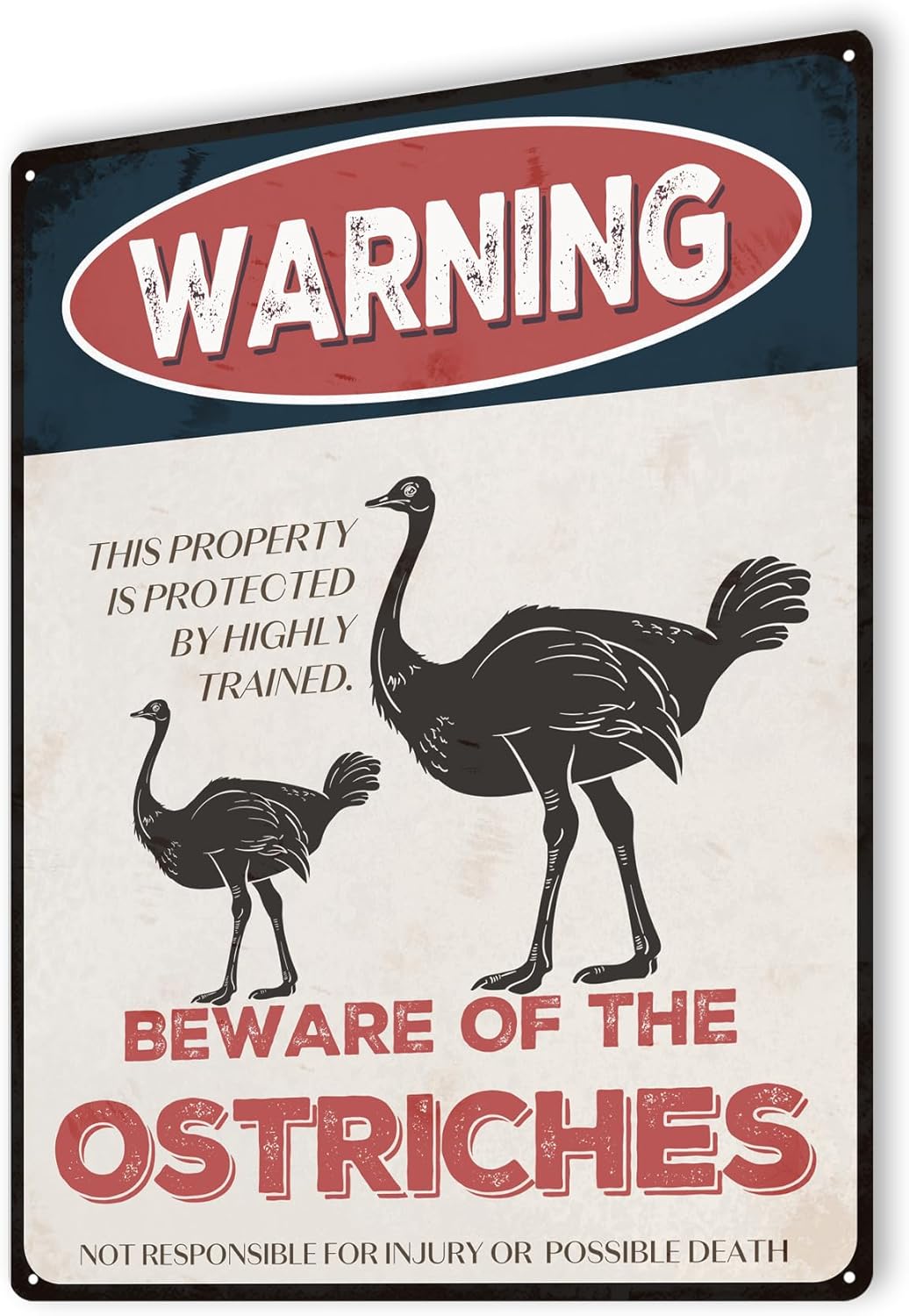 Amazon.com : Beware of Ostriches Sign 12x16 inch Animal Metal Signs for ...