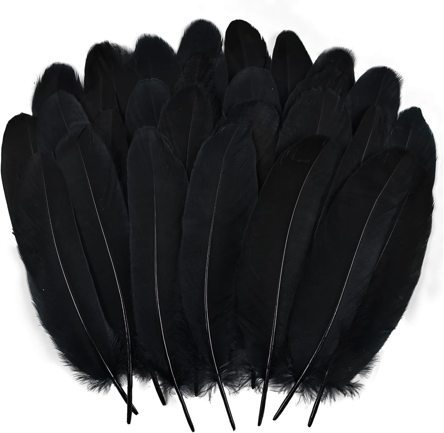 Amazon.com: 300pcs Goose Feathers(4-6 inches),Feathers for Crafting,DIY ...