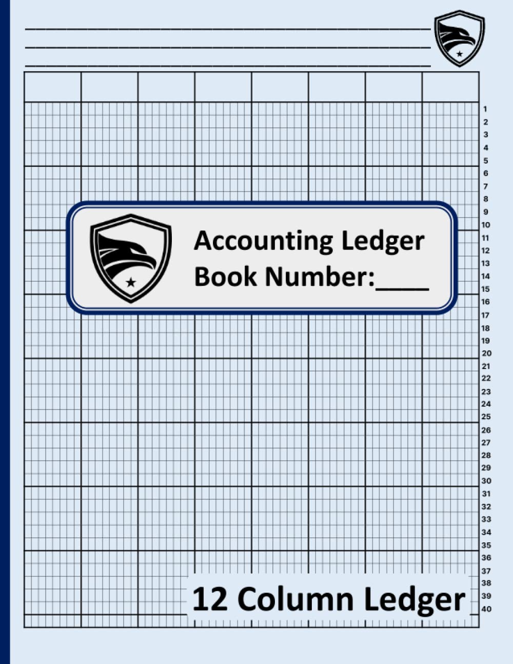 Amazon.com: 12 Column Accounting Ledger Book : Large Simple Columnar ...