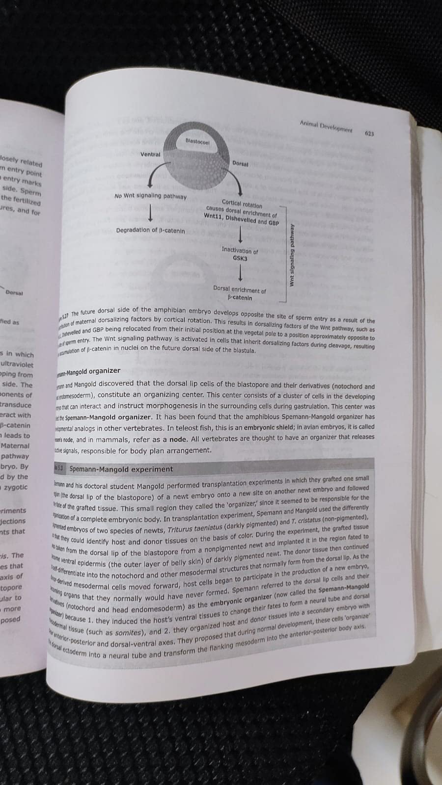 Buy CSIR-JRF-NET Life Sciences Fundamentals and Practice Part I & II ...