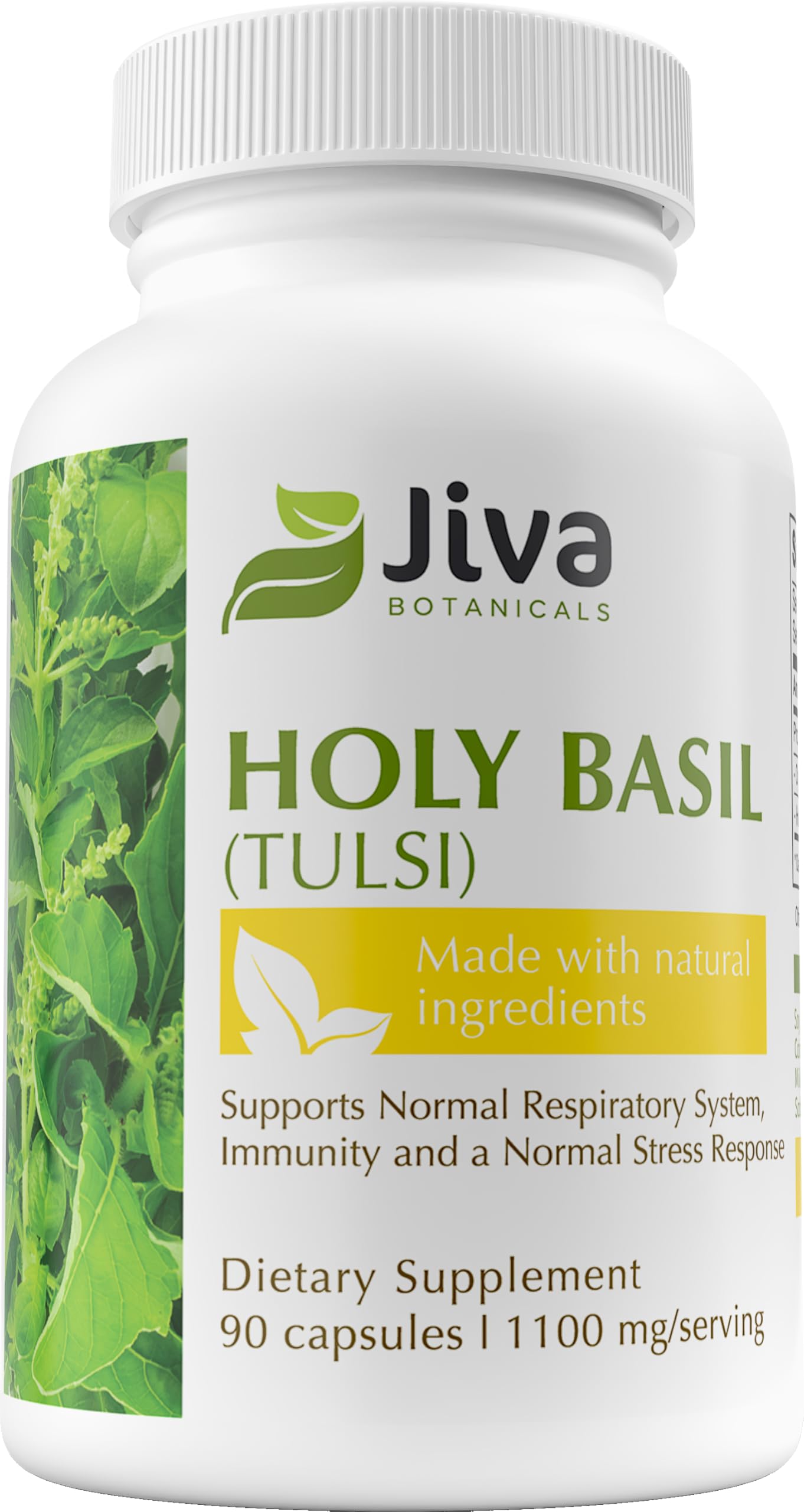 Amazon.com: Jiva Botanicals Holy Basil Capsules - Premium Holy Basil ...