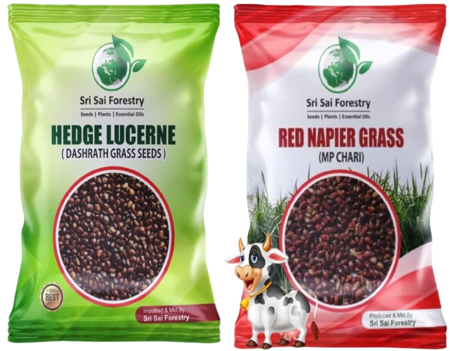 SRI SAI FORESTRY Hedge Lucerne & Red Napier Grass Seeds (1000 Seeds ...