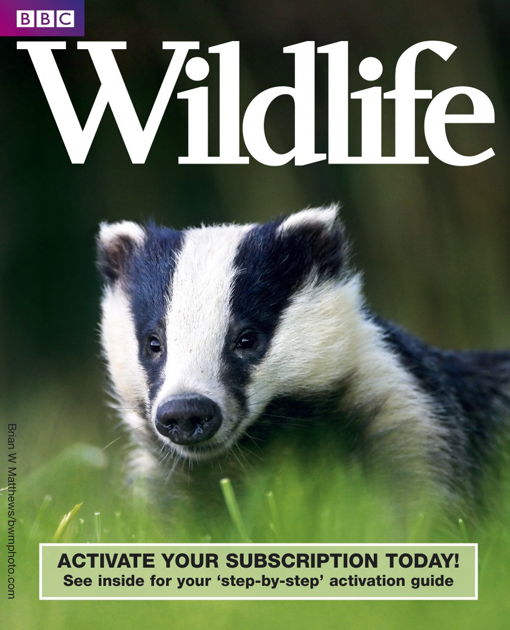 Amazon.in: Buy BBC Wildlife Subscription Gift Pack ( 13 issues) Book ...