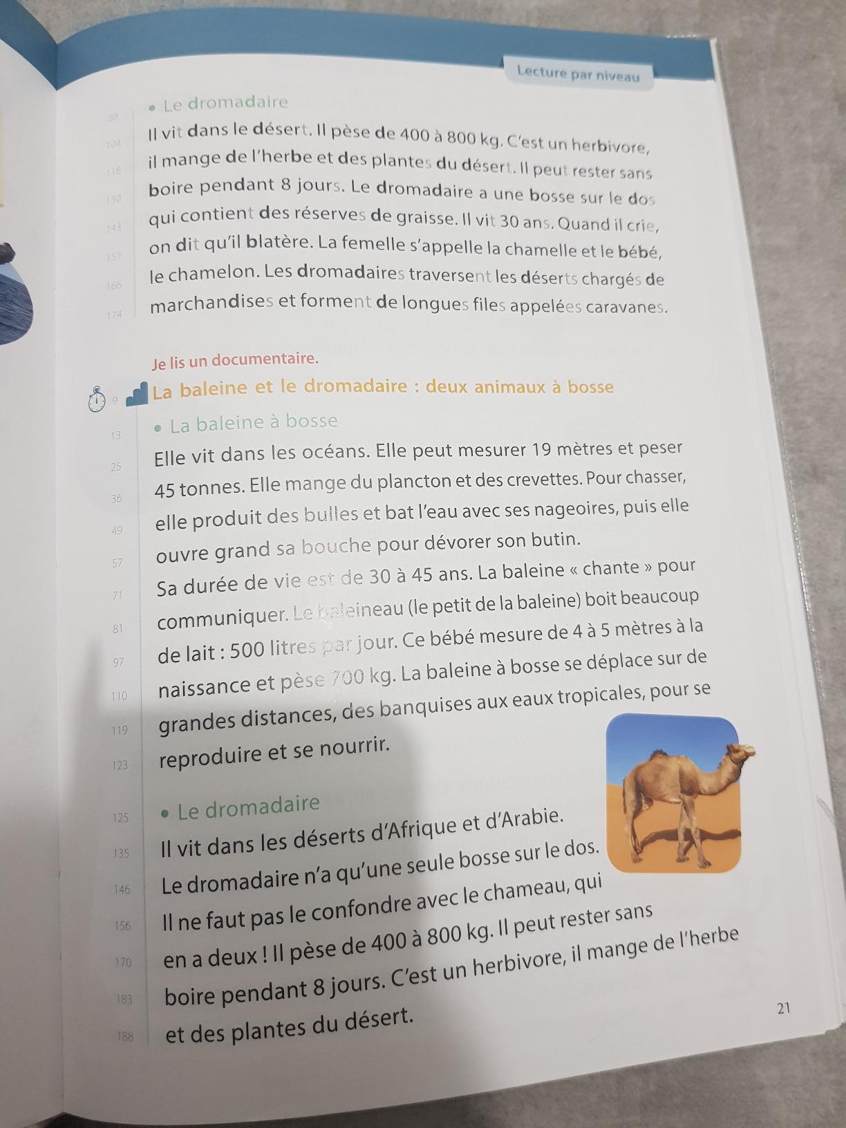 Amazon.fr - Lecture Piano CE1 - Manuel de l'élève - Monnier, Sandrine ...