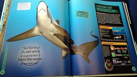 Super Shark Encyclopedia: And Other Creatures of the Deep (DK Super ...