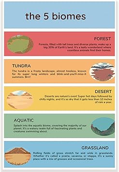 Amazon.com: Printlabz The 5 Biomes Classroom Poster - Different Types ...