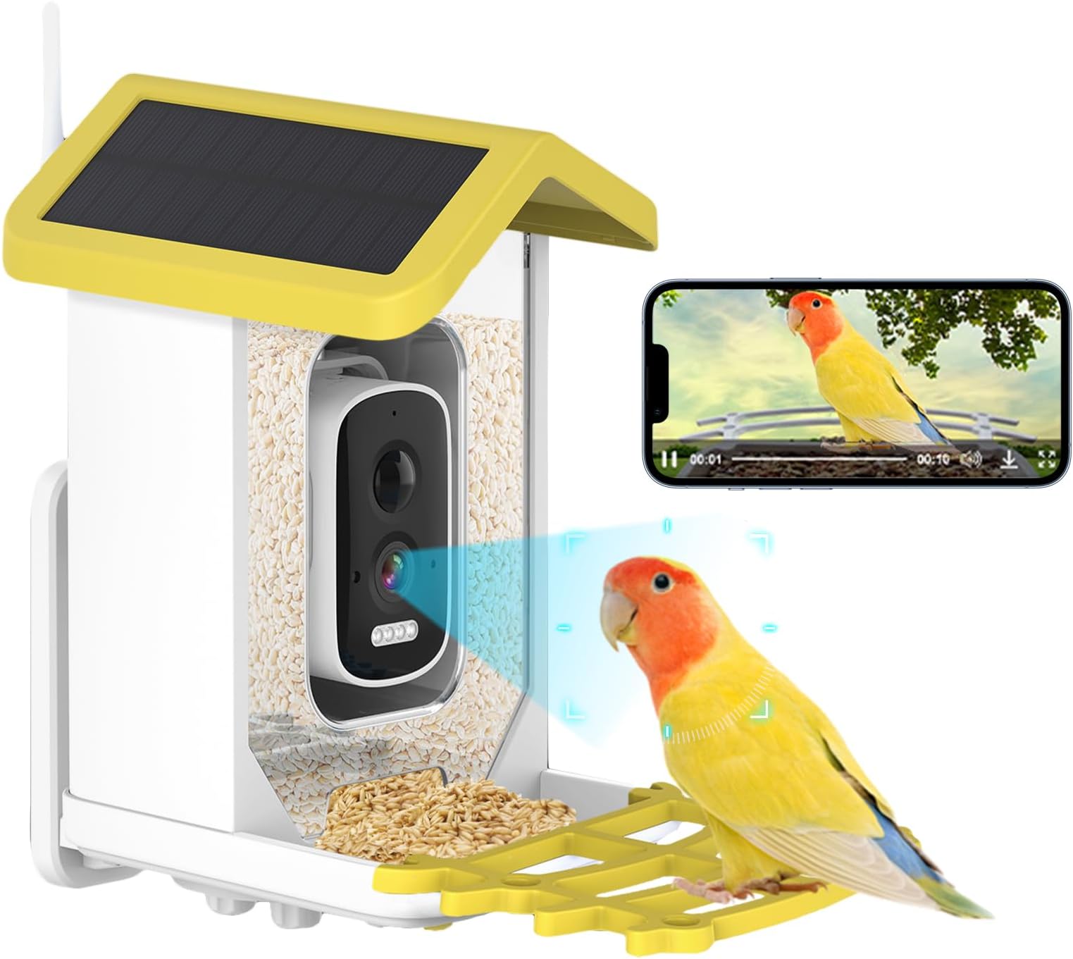 Amazon.com : Smart Bird Feeder with Camera, HD Camera Bird Feeder ...