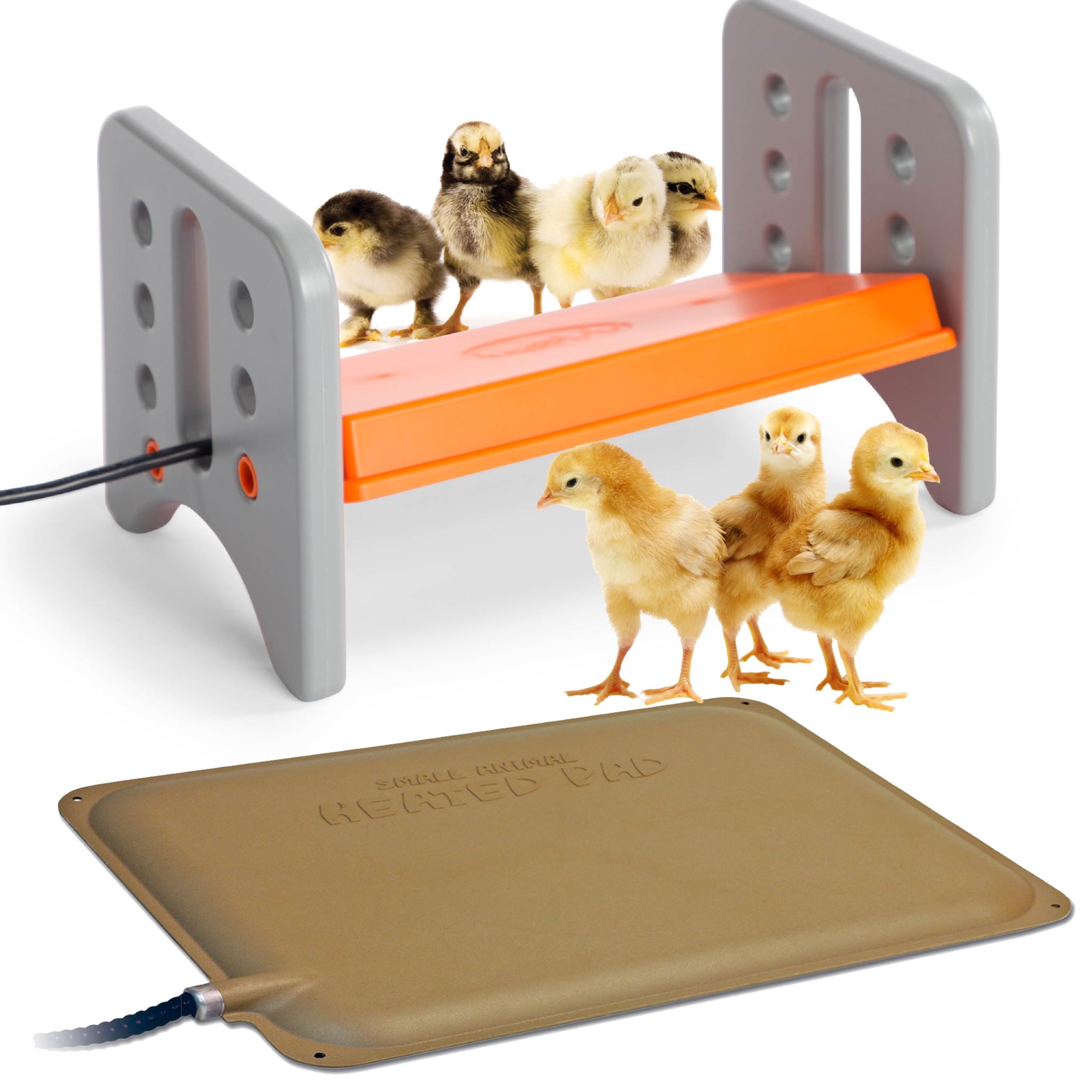 Amazon.com : K&H Pet Products Bundle Chick Brooder Warming Kit Thermo ...