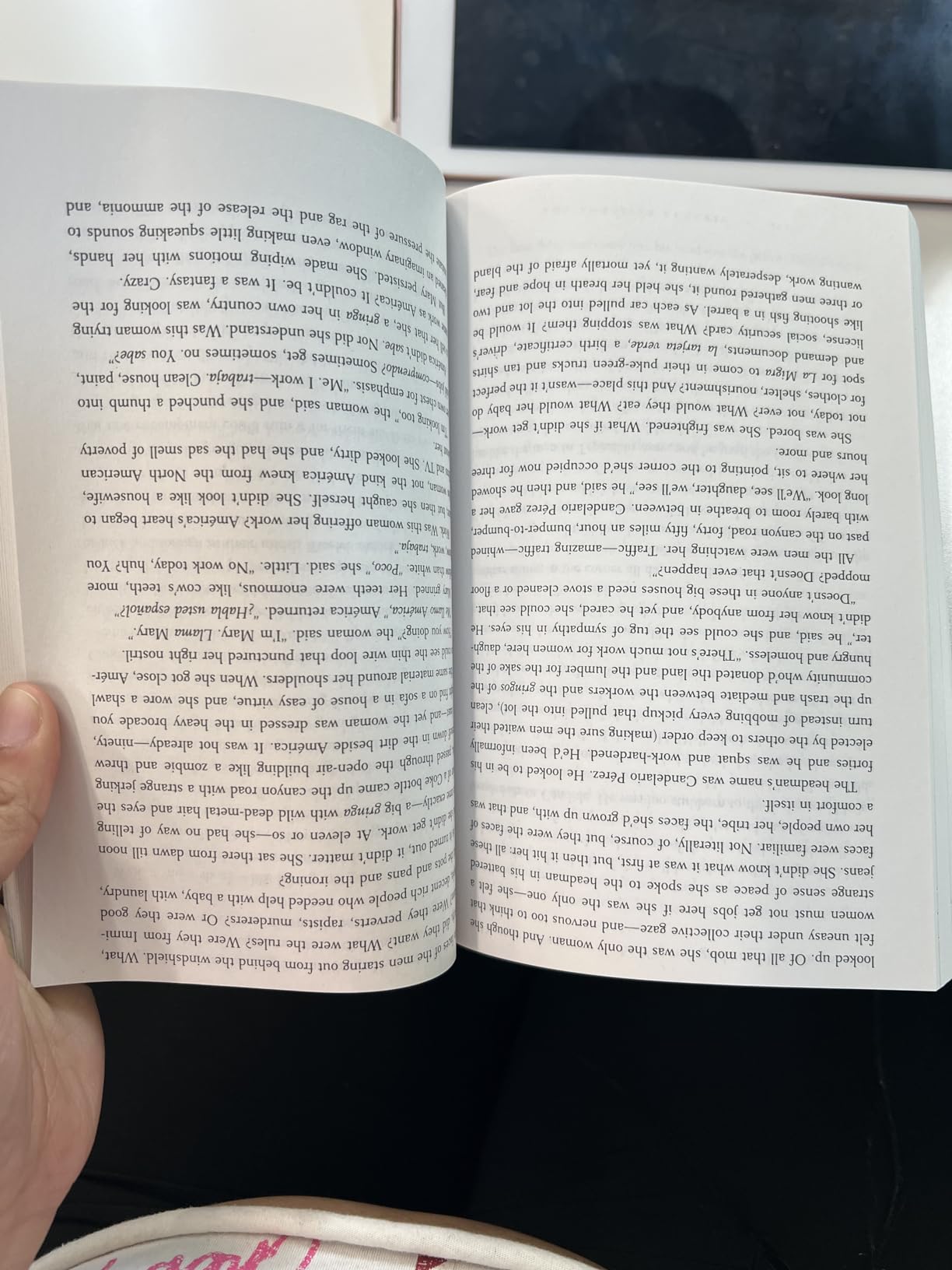 by T. Coraghessan Boyle (Author)The Tortilla Curtain (Paperback): T ...