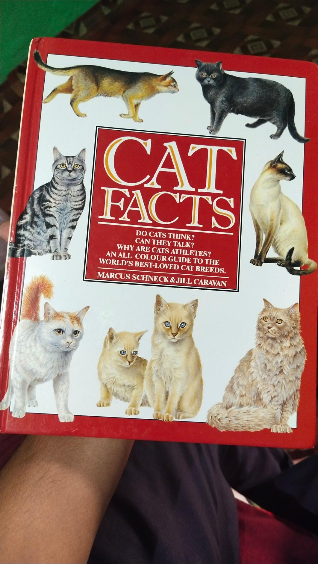 Cat Facts : Schneck Marcus, Caravan Jill: Amazon.in: Books