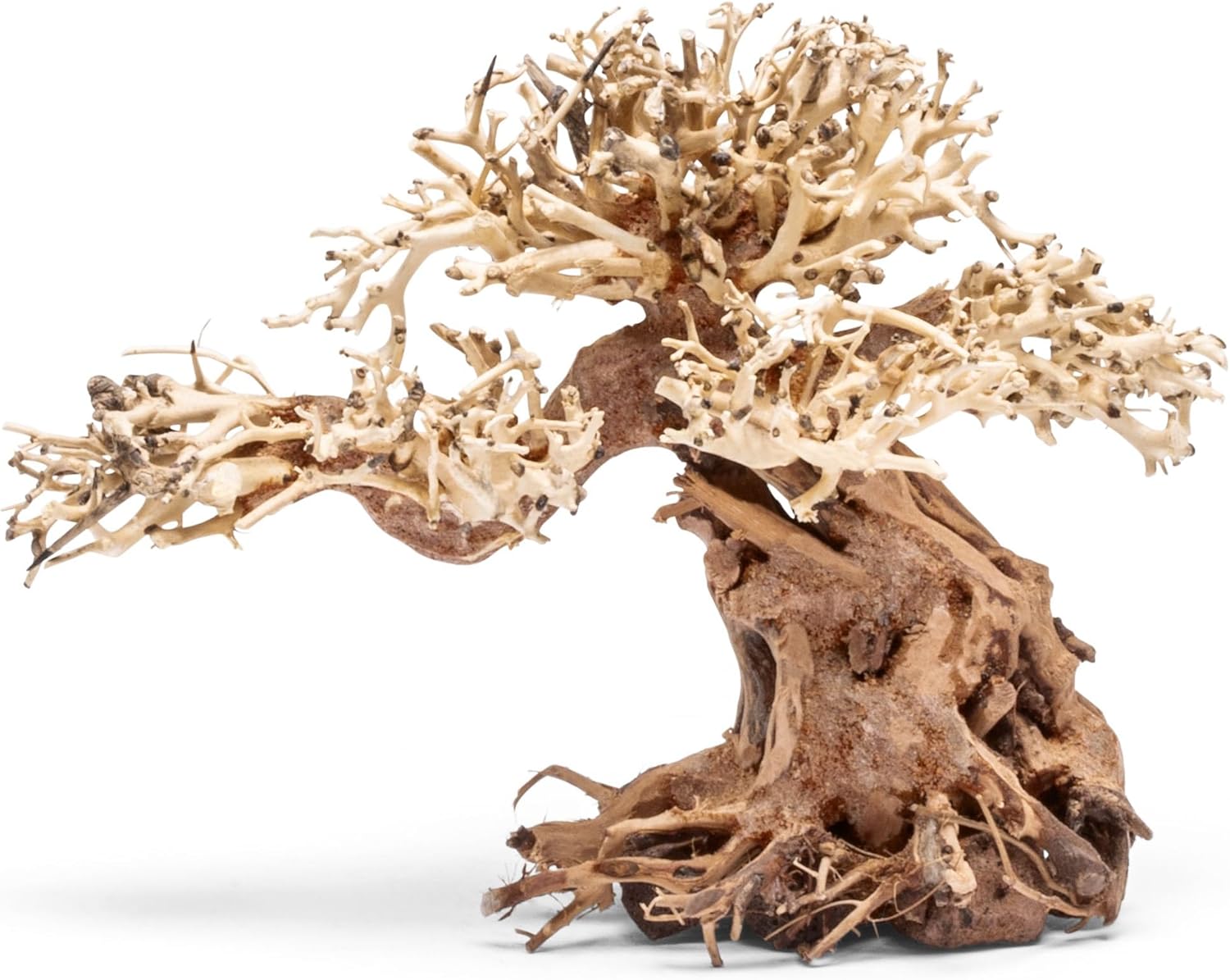 Amazon.com: Ultum Nature Systems Bonsai - Handcrafted Hardscape ...