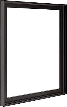Amazon.com: Pixy Canvas 12x16 inch Floater Frame for Canvas Paintings ...