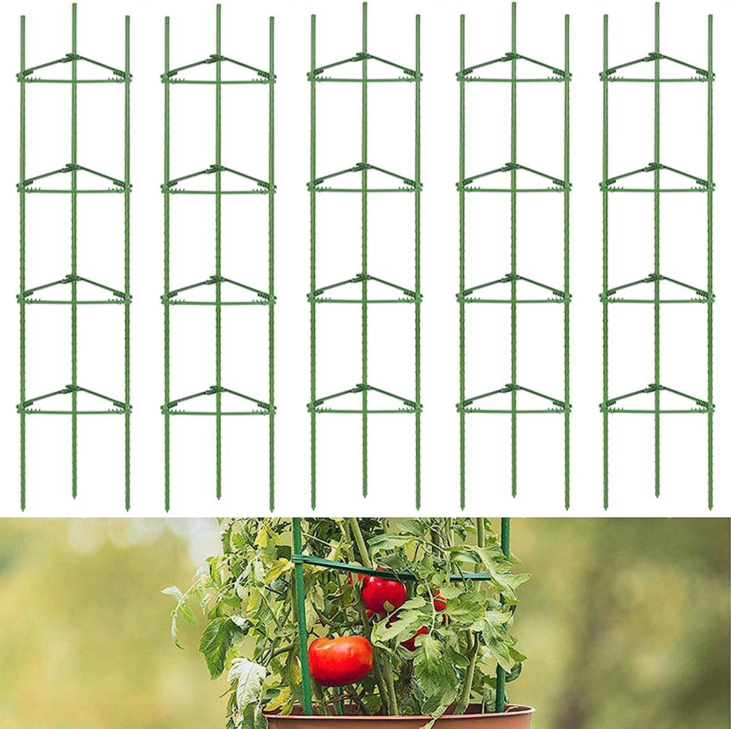 Amazon.com: 5 Packs Plant Support Plant Stakes Tomato Cage Vegetable ...