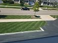 Toro 20601 Lawn Striping System : Amazon.ca: Patio, Lawn & Garden