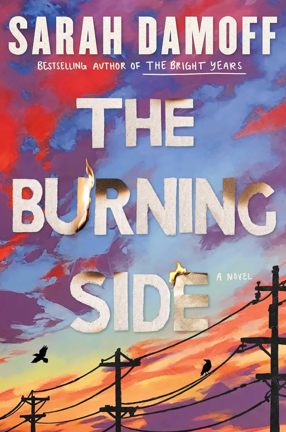 Amazon.com: The Burning Side: A Novel: 9781668085011: Damoff, Sarah: Books