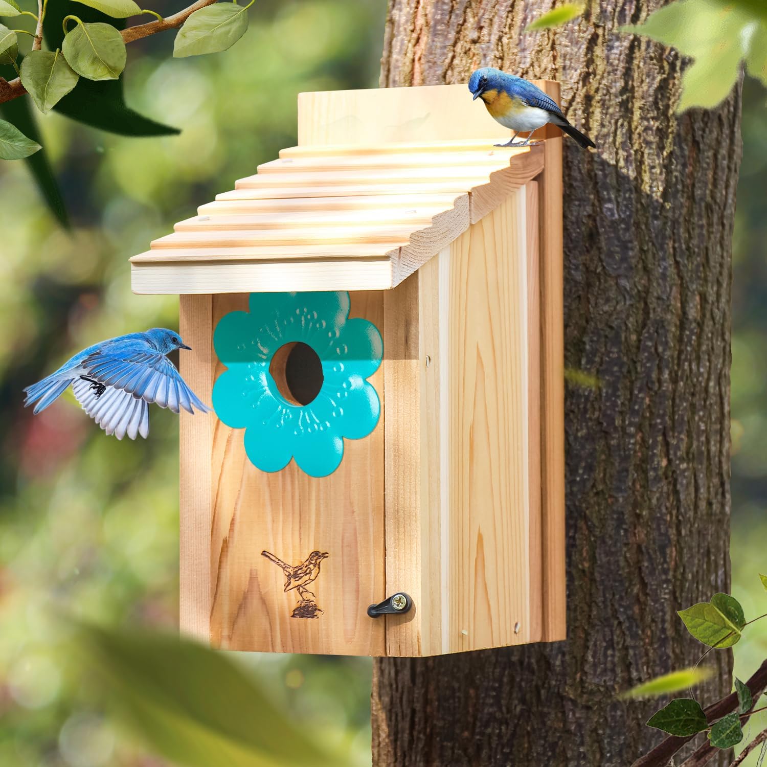Amazon.com: 1 Pk Bird House Predator Guards -1.34" Hole Sizes - Blue ...