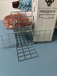 Amazon.com : Excluder One Way Squirrel and Rodent Trap - Control Mice ...