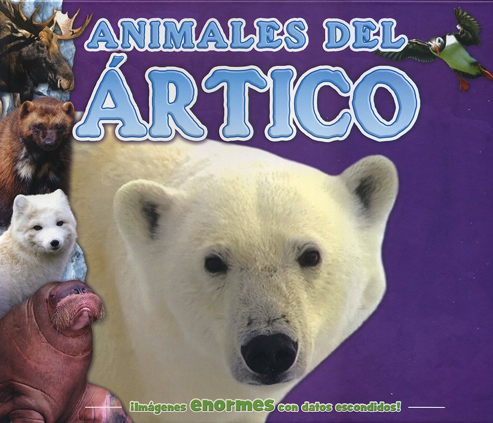 Amazon.com: DATOS ESCONDIDOS: ANIMALES DEL ARTICO: 9781628852356: Books