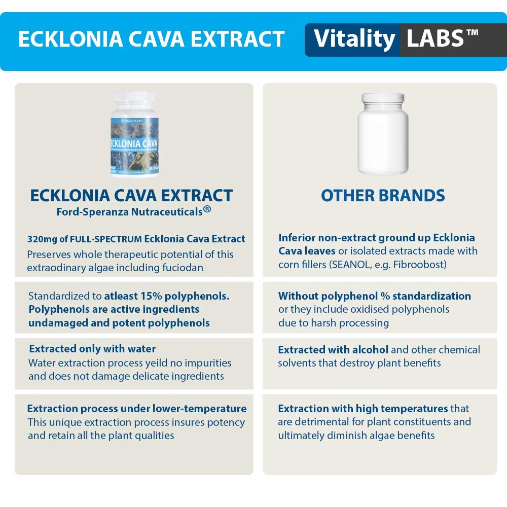 Ecklonia Cava Extract - Premium Patented 99% Full-Spectrum Algae ...