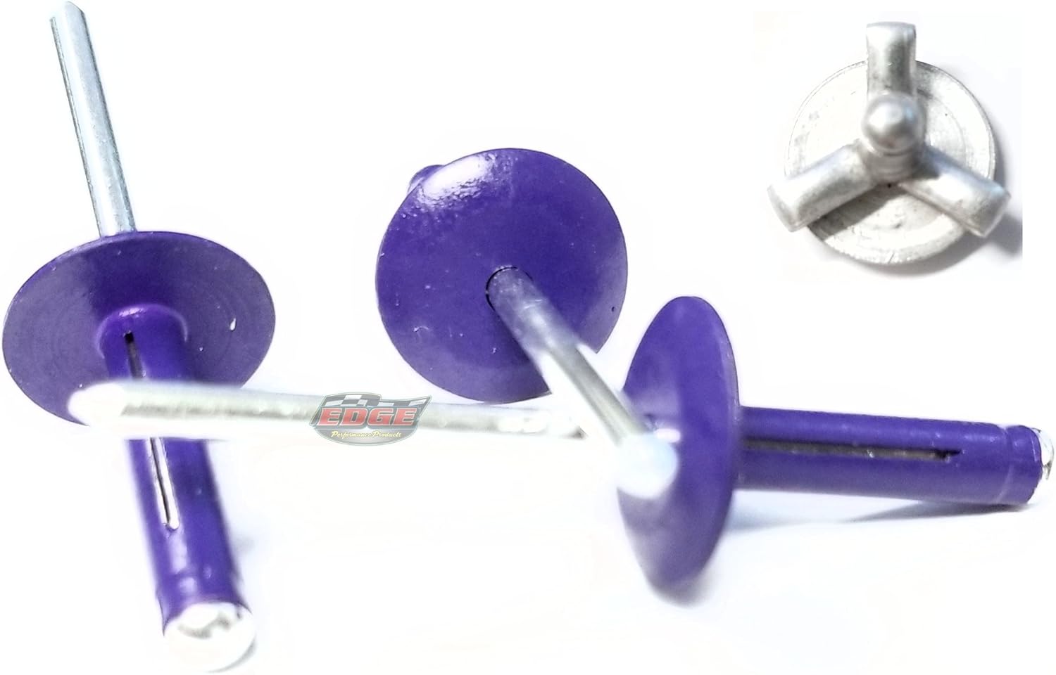 Amazon.com: Purple Exploding Pop Rivets 3/16" Tri-Fold Large Head ...