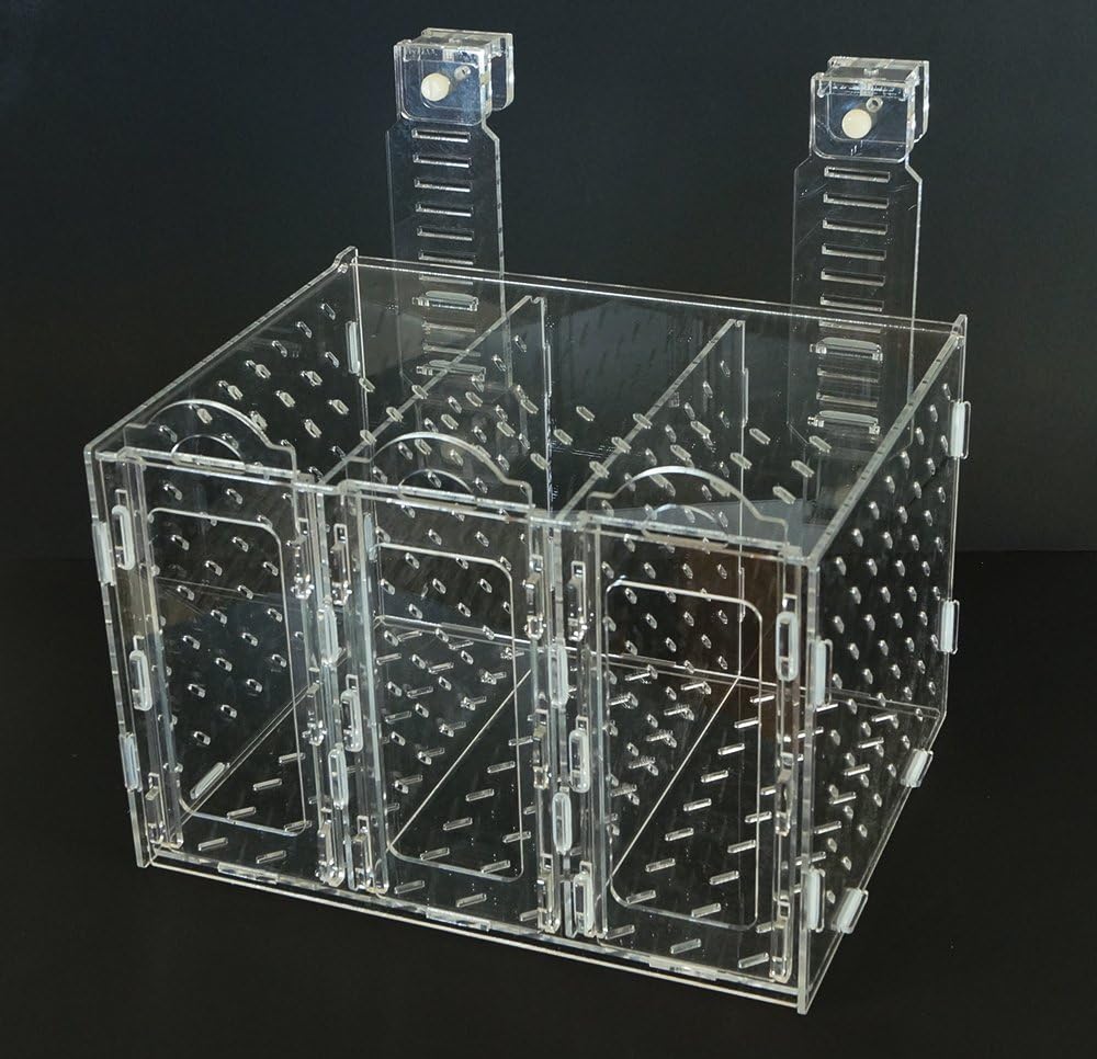 Amazon.com : Sea Side Aquatics Collapsible RF-300C Acclimation Box ...