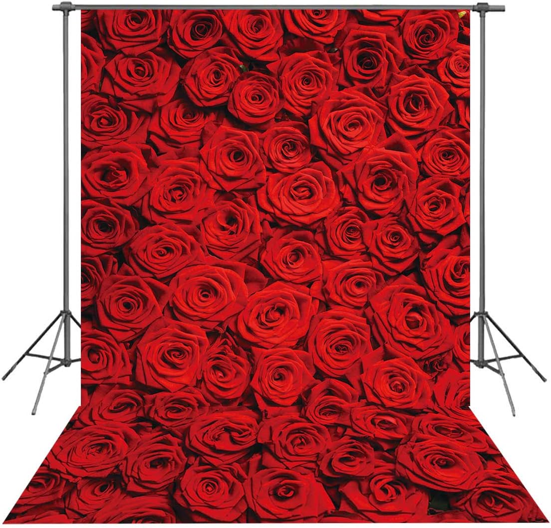 Amazon.com : 5x7ft Pink Rose Photography Backgdrop Backdrop for ...