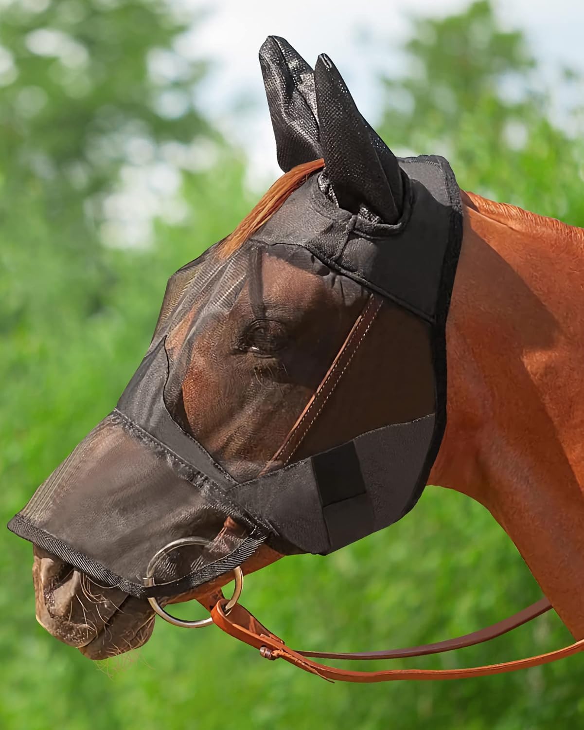 Amazon.com : MAMI&BABI Fly Masks for Horses with Long Nose Fly Mask ...