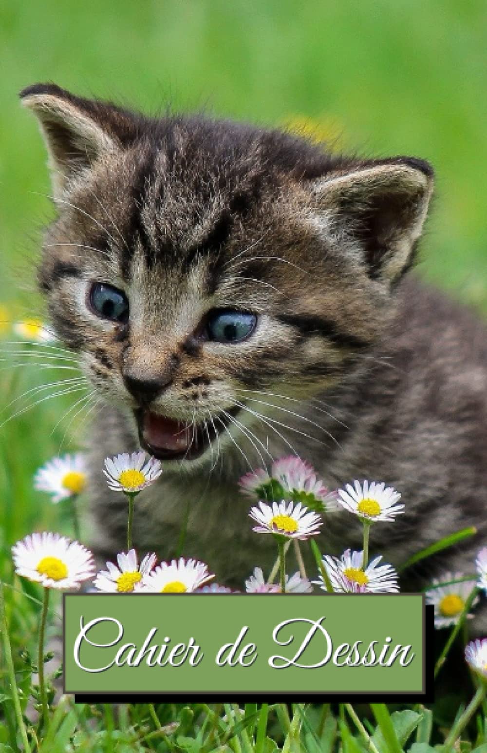 Buy cahier de dessin: carnet de dessin pour ado et adulte - format A5 ...