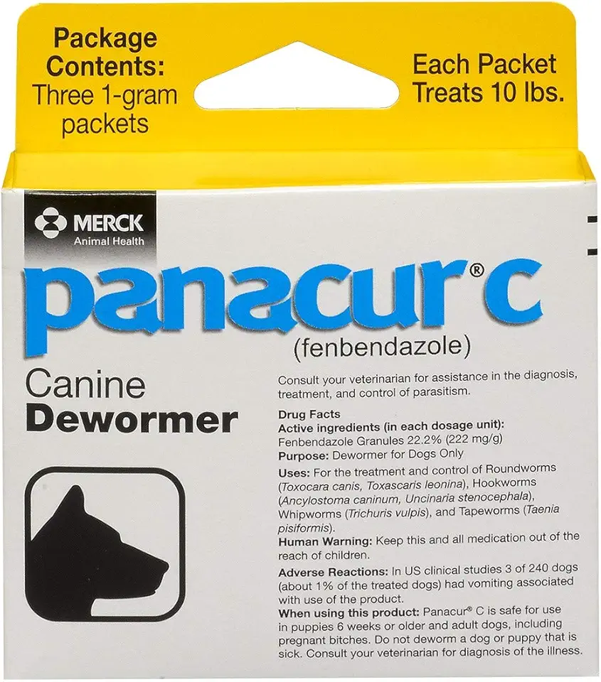 Proper Dosage Of Panacur For Rabbits: A Guide For Rabbit Owners | PetShun